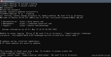 【dev On Wsl2】wsl2 With Vscode简单配置wsl2 Vscode Csdn博客