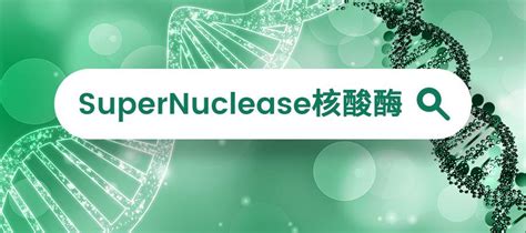 核酸去除整体解决方案：supernuclease核酸酶及其残留检测试剂盒 知乎