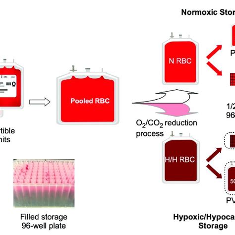 Experimental Set Up The Diagram Shows The Processing And Splitting