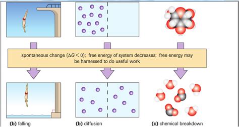Entropy Sbi4u Resource Website