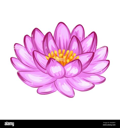 Illustration Of Lotus Flower Stock Vector Image And Art Alamy