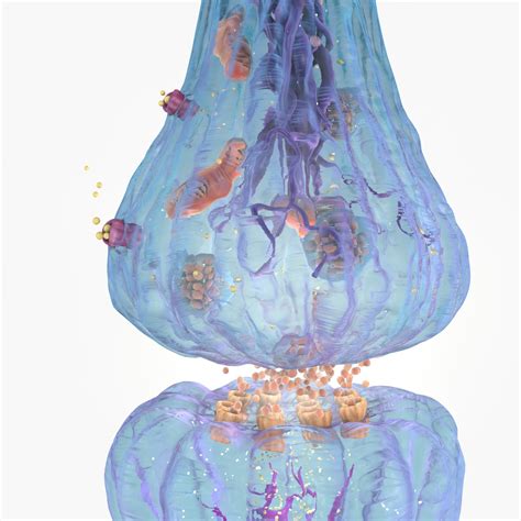 Synapse 3d Model 99 C4d Ma Obj Fbx Free3d