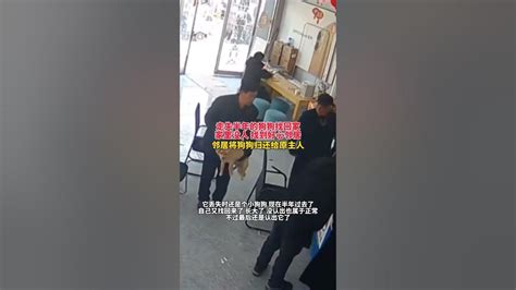 走失半年的狗狗找回家，家里没人找到好心邻居，邻居将狗狗归还给原主人 狗狗 万物皆有灵 Youtube