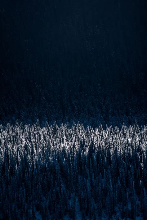 Fondos de pantalla luz de sol Árboles paisaje noche naturaleza reflexión césped cielo