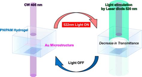 Light Triggered Transmittance Control In Thermoresponsive Hydrogels By