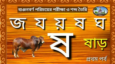 ব্যঞ্জনবর্ণ পরিচয় পরীক্ষা ব্যঞ্জনবর্ণ দিয়ে শব্দতৈরি