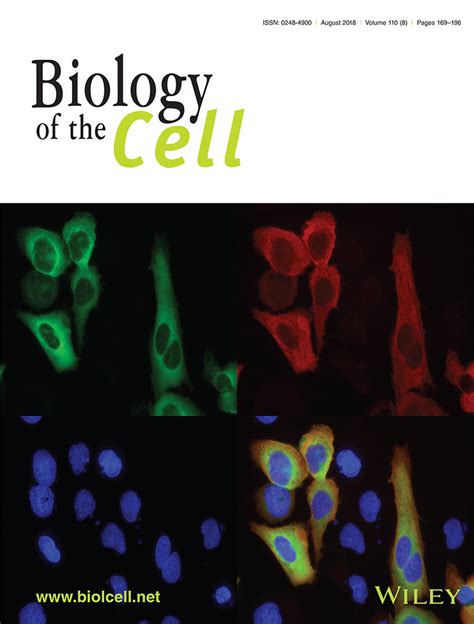The Role Of Pdcd4 In Tumour Suppression And Protein Translation Wang