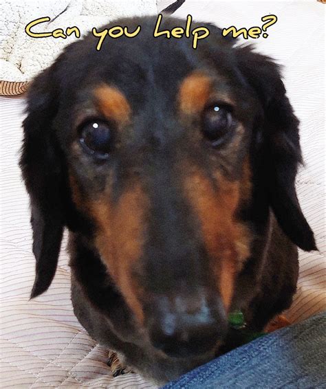 20230403 時は戻らない