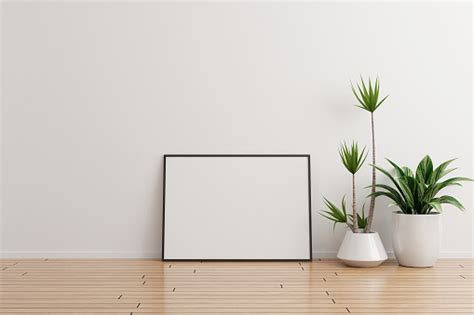 나무 바닥에 식물이있는 흰색 벽 빈 방에 검은 수평 사진 프레임 모형 0명에 대한 스톡 사진 및 기타 이미지 0명 가구