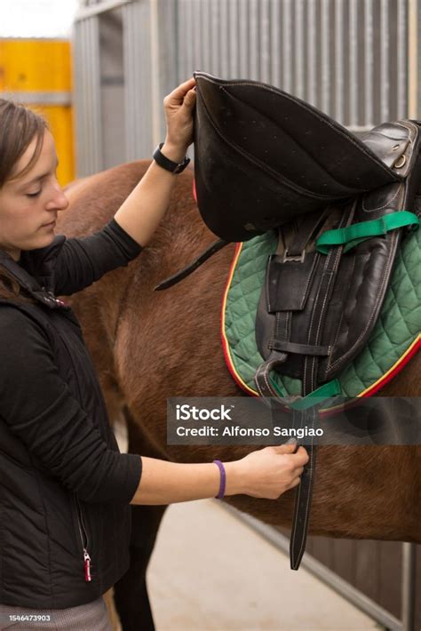 말 안장 하네스 및 스트랩 액세서리를 사용하는 방법 목장에서 중년 히스패닉 여성 근접 촬영 개인 장식품에 대한 스톡 사진 및 기타 이미지 Istock
