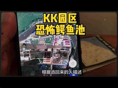 KK园区恐怖鳄鱼池 妙瓦底 电信诈骗 kk园区 妙瓦底kk园区 YouTube