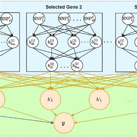 An Illustrative Figure Of The Architecture Of The Proposed Download Scientific Diagram