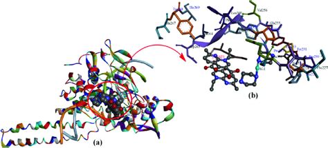 A Molecular Docked Model Of Complex 1 With Human Dna Topo I Pdb Id