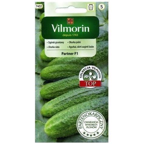 Ogórek Partner F1 Gruntowy 3g Standard Vilmorin rolno ogrodniczy pl