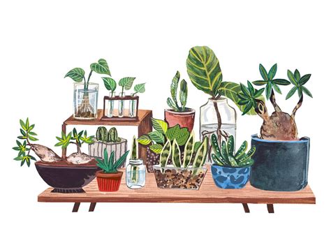 3 Easy Ways To Propagate Plants You Have At Home Chatelaine
