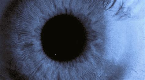 ΔS 0 The Meaning of Pupil Dilation What do an orgasm