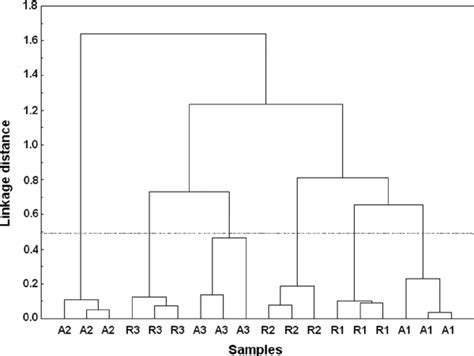Dendrogram Of The Six Samples In Three Tests Of Sensory Analysis Based Download Scientific
