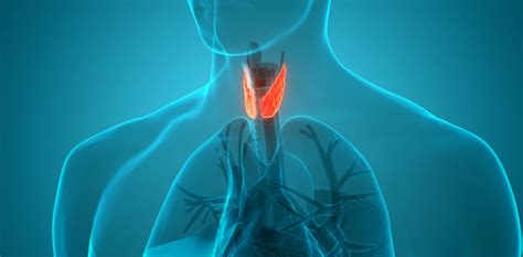 Thyroid Fnac Dr Ankita Tiwari