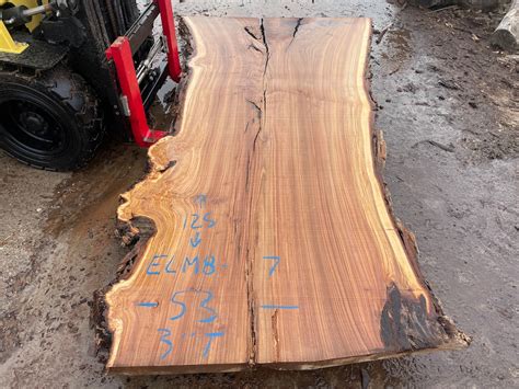 Gigantic Slab With Burls Siberian Elm 126 X 53 66 X 3 Incredible