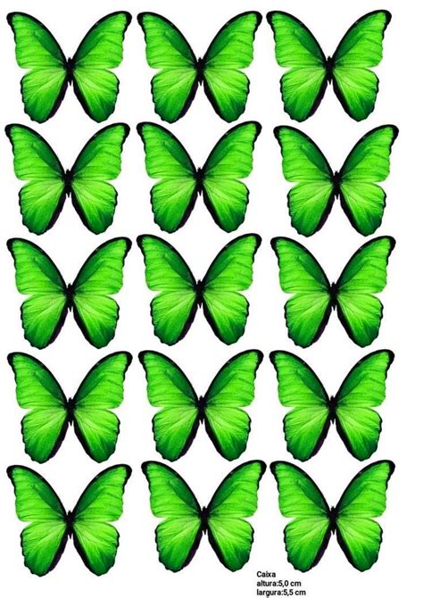Green Butterflies Are Arranged In Rows On A White Background
