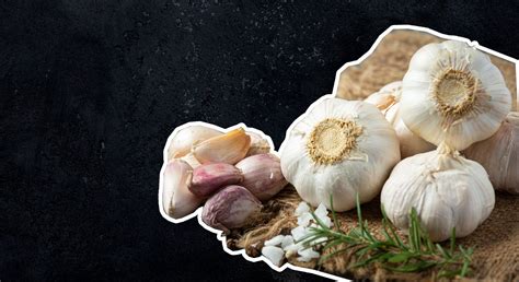 Best Garlic Supplement Our Top 5 Pick Baller Circuit