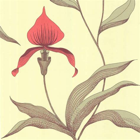 Cole And Son Orchid Wallpaper Amalfa