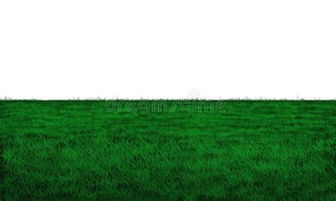 Realistic Green Grass Field On White Background Vector Stock Image