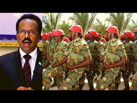 WAR FARXAD LEH Farmaajo Iyo Ciidanka Somalia Oo Kenya Fariin YouTube