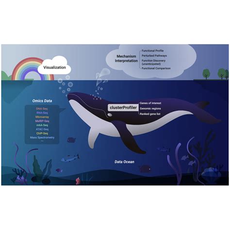 Clusterprofiler 4 0 A Universal Enrichment Tool For Interpreting Omics Data Pubmed