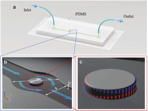 A Schematic Of The Microfluidic Device Employed In This Study B Download Scientific