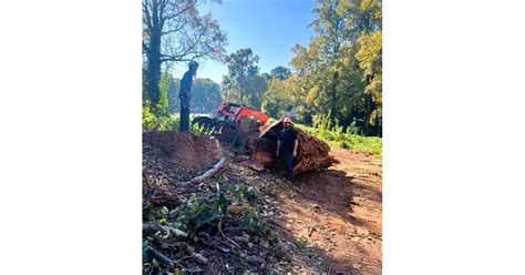 High Point Tree And Fence Thrives With Exclusive Tree Care Leads From