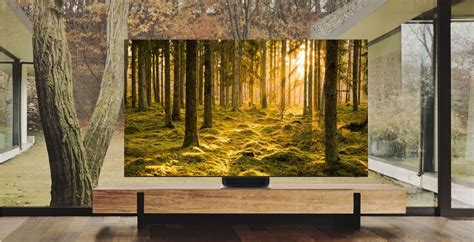 Se Filtra El Precio De La Samsung S95C QD OLED De 55 Pulgadas