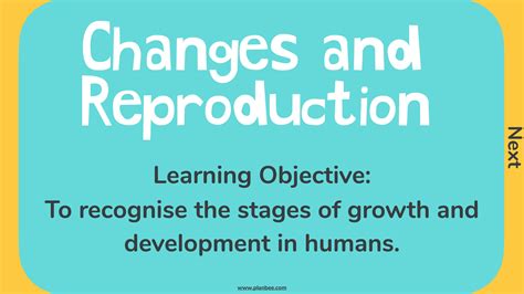 Human Life Cycle Ks2 Lesson Pack From Planbee