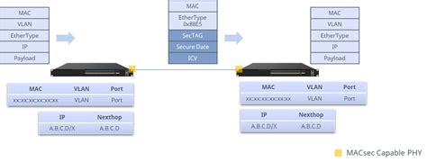 What Is Macsec And How Does It Work