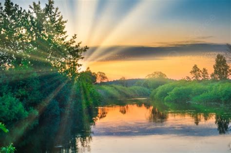 Wallpaper Sunlight Trees Landscape Lake Water