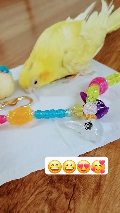 لوتینو 🩷🩷💜 Youtube