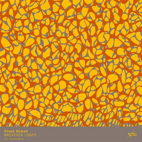 Shoeb Ahmad Breather Loops Tape Tobira Records