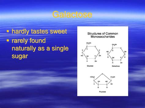 Carbohydrates BIOL Ppt Download