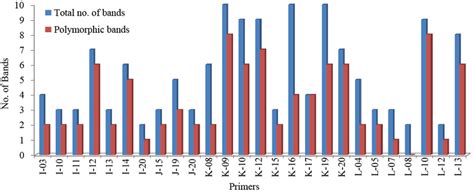 Number Of Polymorphic Bands Per Primer Download Scientific Diagram