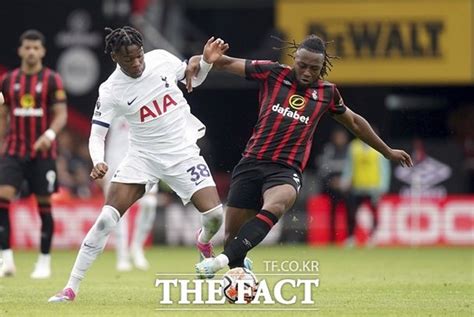 1등 불발 축구토토 승무패 46회차 약 8억 적중금 이월 네이트 스포츠