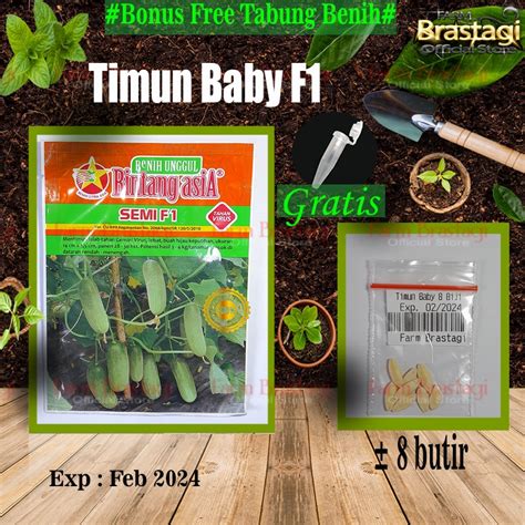 Jual Bibit Timun Baby Semi F Hibrida Benih Sayuran Lalap Unggul Bintang Asia Super Lebat