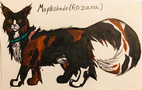 Au Mapleshade By Thecatinthefedorahat On Deviantart