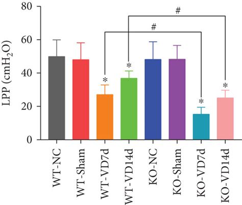 The Body Weights And Lpp Values Of Mice A Body Weights Of Mice In Download Scientific