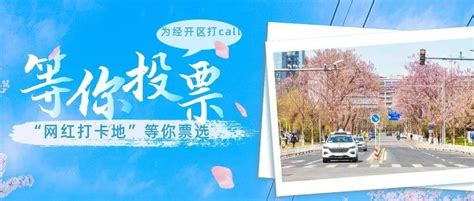 票选“网红打卡地”！北京经开区两处景点等你助力“出圈”大道泡桐评选