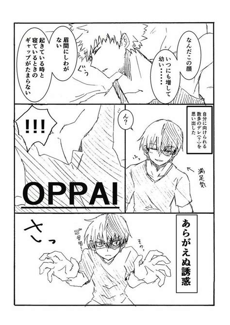 Todobaku Bakutodo Todoroki Shouto Bakugou Katsuki Boku No Hero