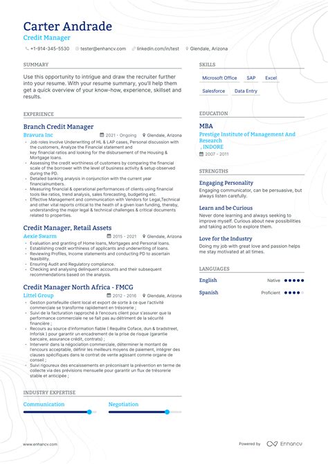 Credit Manager Resume Examples And Guide For 2023 Layout Skills