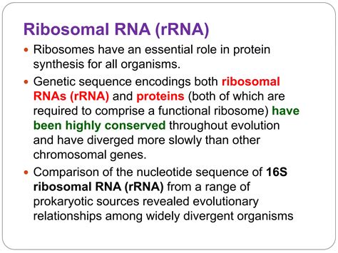 Classification Of Microorganisms Pptx