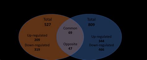 Differences In Gene Expression In The Two Transcriptomics Experiments Download Scientific