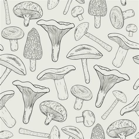 Edible Mushrooms Outline Seamless Pattern Hand Drawn Fungi Birch