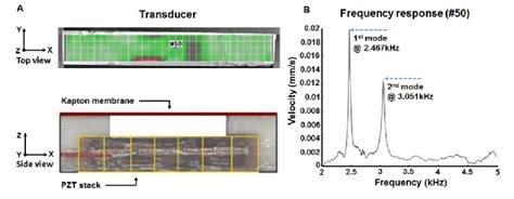 A Acoustic Transducer Built With A Kapton Membrane And A Pzt Stack Download Scientific